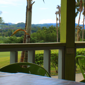 Río Bayamón Golf Course | The Terrace